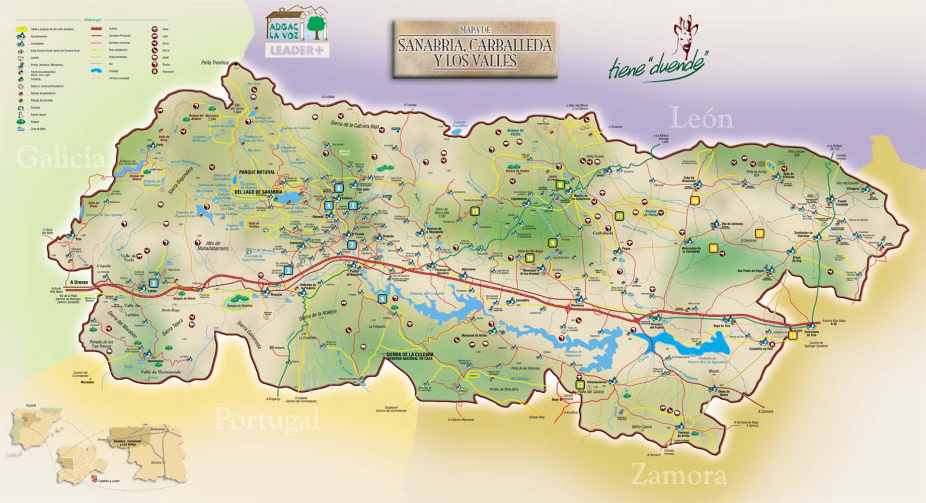 Setas y Rutas Micológicas en Sanabria, Carballeda y Los Valles